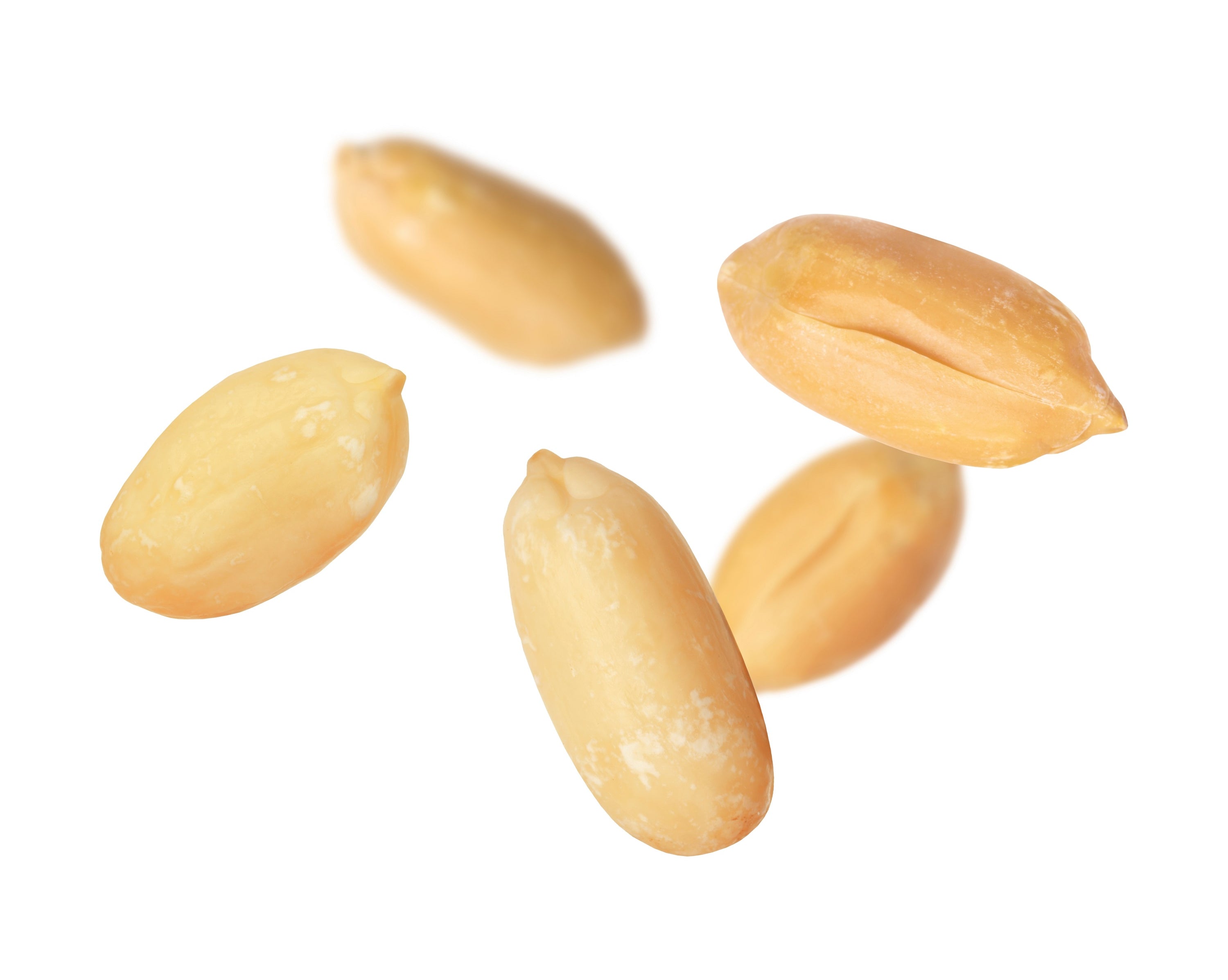 Bailey II Peanut (Virginia Type) Seeds